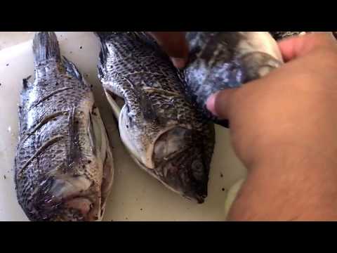 Mojarras Fritas - Fried Whole Tilapia