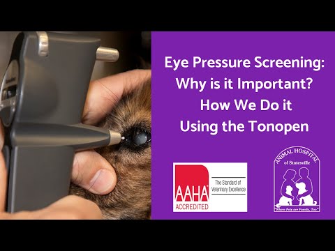 Eye Pressure Screening Using the Tonopen