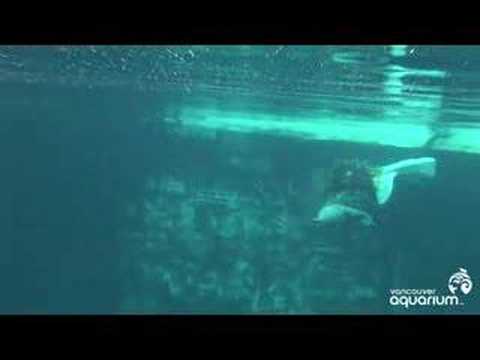 Research on Visualization – Visualizing Birth