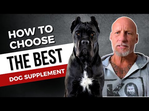 THESE ARE THE INGREDIENTS YOU SHOULD LOOK FOR IN DOG SUPPLEMENTS