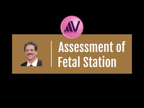 Fetal Station Estimation by Per Vaginal Examination