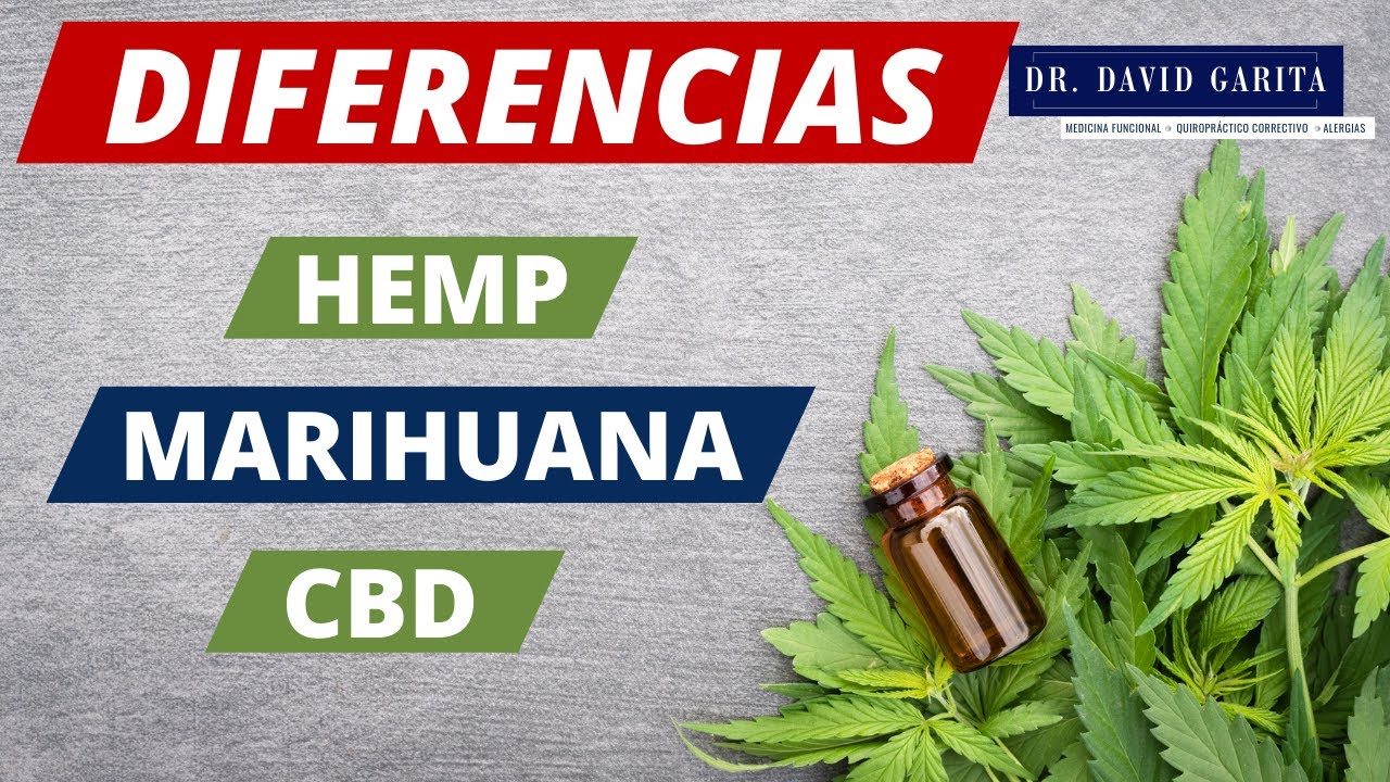 Las DIFERENCIAS entre el HEMP, CBD, y la MARIHUANA - Dr. David Garita
