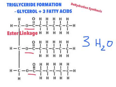 Lipids