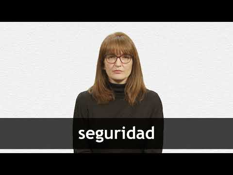 English Translation of “SEGURIDAD” | Collins Spanish-English Dictionary