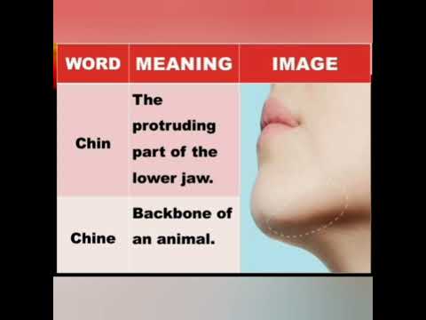 VOCABULARY, MEANINGS OF THE WORDS CHIN, CHINE, SHIN AND SHINE