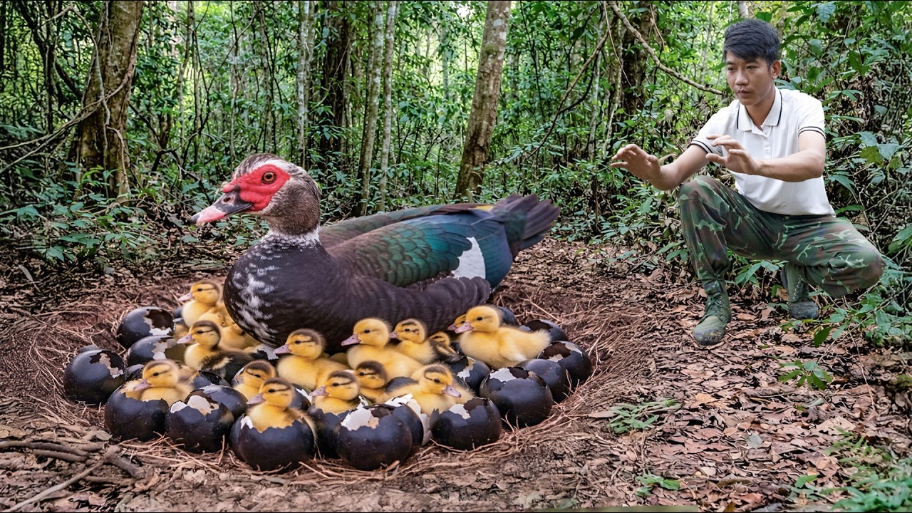 30 Days of Off-Grid Living — Harvesting, Catching & Building in the Forest (Full Movie)