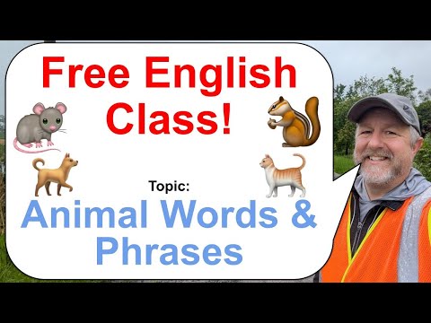 Let's Learn English! Topic: Animal Inspired Words & Phrases! 🐿️🐀🐈