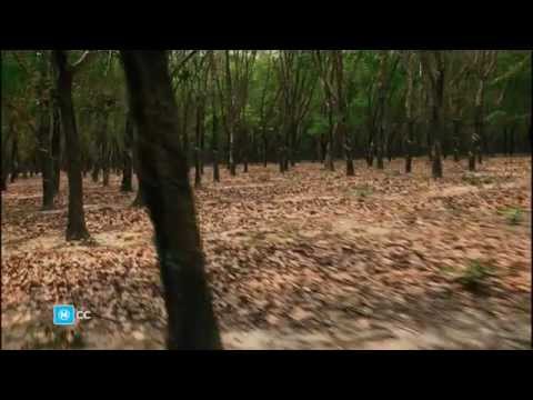 ABC-TV - ANZAC 100 Years Special - The Crater: A Vietnam Story Promo [2015]