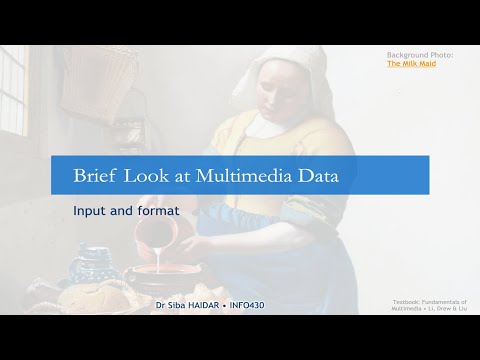 Brief look at Multimedia Data