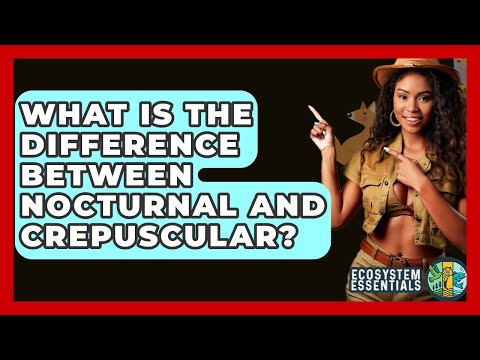 What Is The Difference Between Nocturnal And Crepuscular? - Ecosystem Essentials