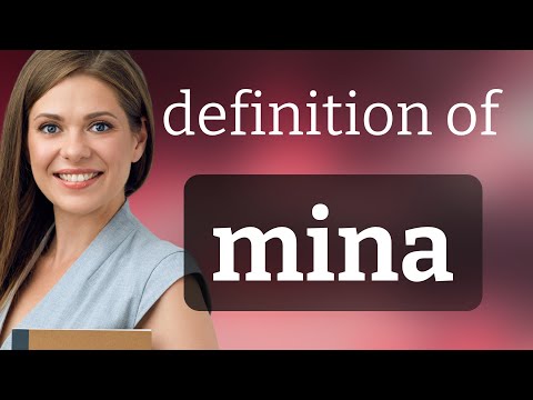 Mina โ definition of MINA