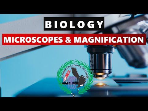 Magnification & Microscopes. (BIOLOGY)