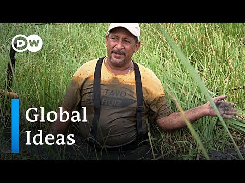 Mexico: Coastal protection, Aztec-style | Global Ideas