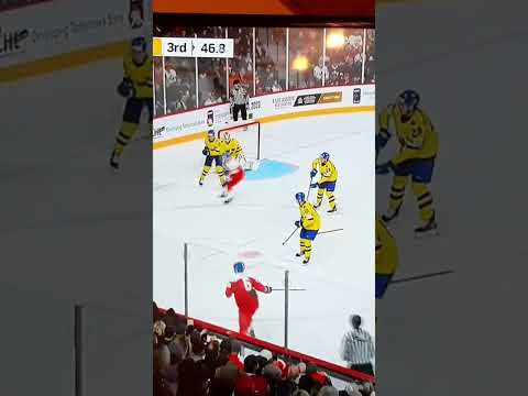 Česko - Švédsko MS20 VYROVNÁNÍ V ZÁVĚRU