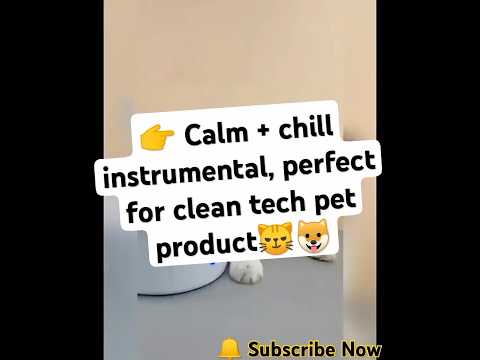 Automatic Pet Water Fountain for Cats & Dogs 💧 | LED Smart Water Feeder 2025-BarakahNest USA #shorts