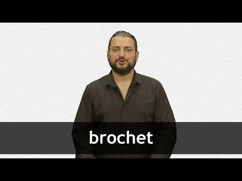 English Translation of “BROCHET” | Collins French-English Dictionary