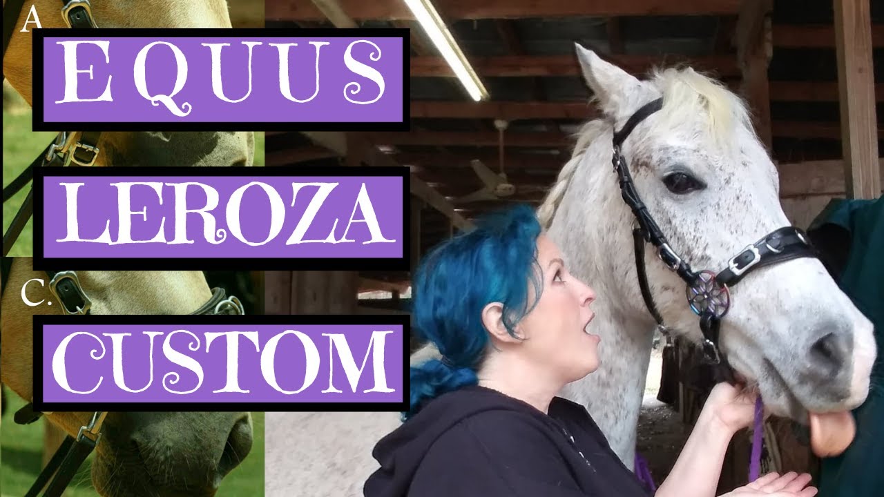 Leroza Bitless Bridle (Unboxing and Try On)