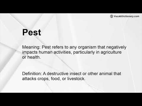 Pest Meaning