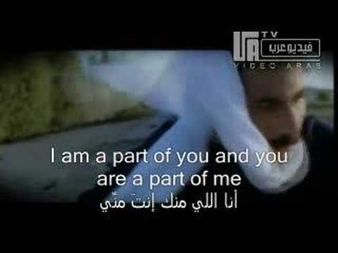 Habibi- Majida El Roumi (ENGLISH/ARABIC TRANSLATION