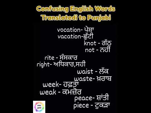 Confusing English Words Translated To Punjabi @shabad_hulare
