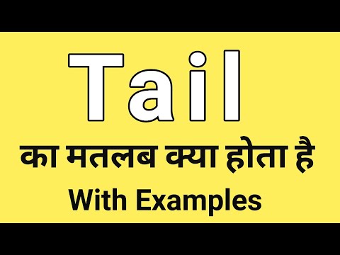 Tail Meaning in Hindi | Tail ka Matlab kya hota hai | Word Meaning English to Hindi