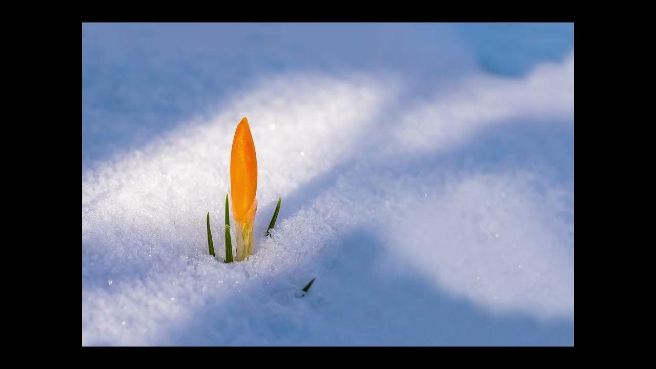 ACIM Lesson 67 - Love created me like itself.