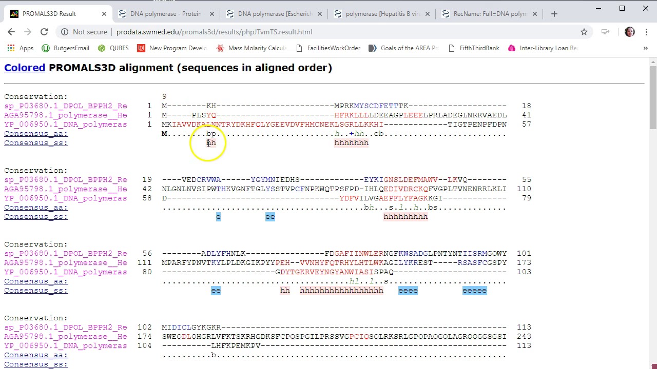 How to use PROMALS3D