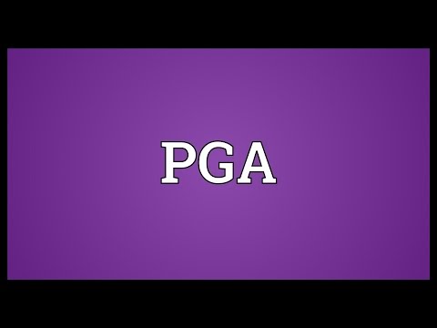 PGA Meaning