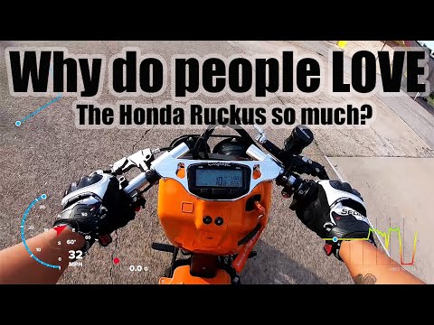 Why do people like the Ruckus so much #HondaRuckus #Ruckus