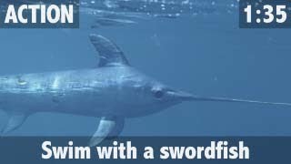 Ultimate Fishing