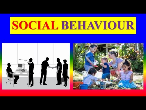 SOCIAL BEHAVIOUR - meaning , definition , elements , theory