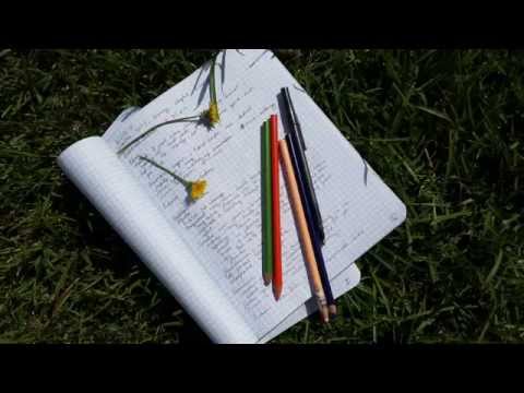 Why Keep a Nature Journal?