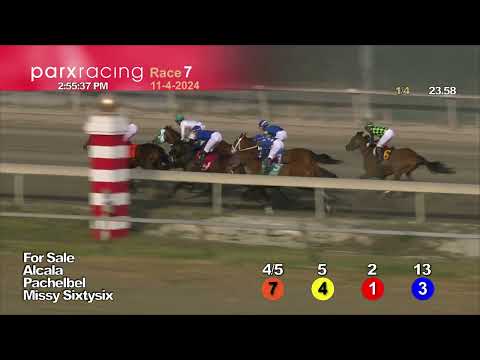Race #7 11/04/24