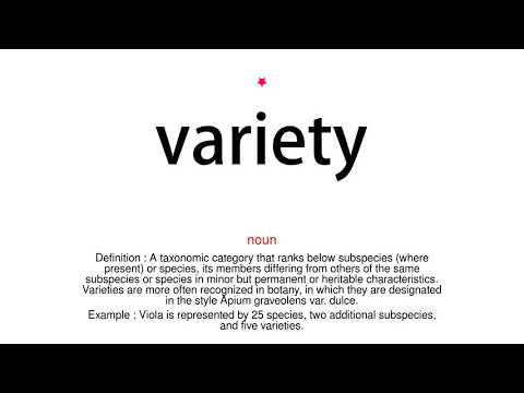 How to pronounce variety - Vocab Today