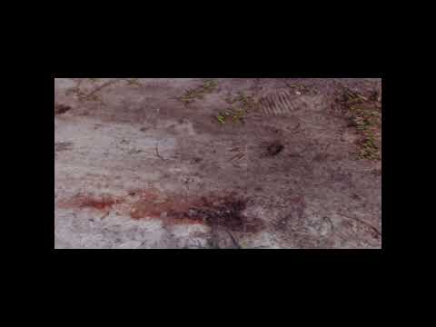 236. The Murder of Michelle Schofield Part 8 – The Prosecutors Podcast