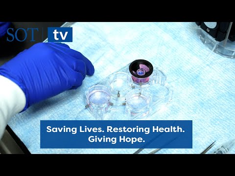 Saving Lives. Restoring Health. Giving Hope – LifeNet Health Life Sciences