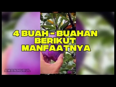 4 BUAH BUAHAN BERIKUT MANFAATNYA