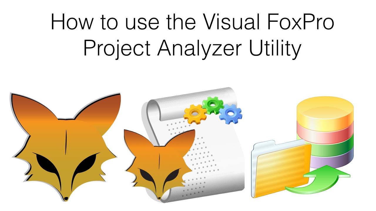 How to use the Visual FoxPro Project Analyzer Utility