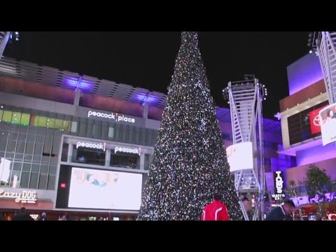 Enjoy LA Live's ice rink this holiday season