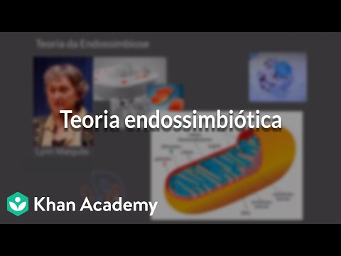 Teoria endossimbiótica (vídeo) | Khan Academy