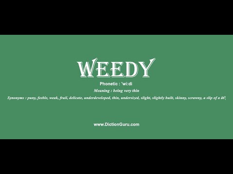 weedy: How to pronounce weedy with Phonetic and Examples