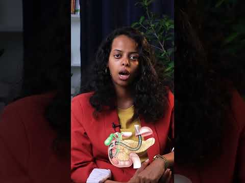 ድርቀትን ለማስቆም የሚጠቅሙ ምግቦች #constipation #guthealth #nutrition #health #shorts