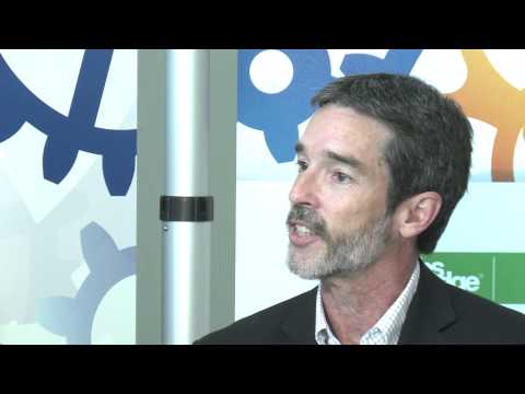 Analytics Maturity Model and Company Self-Assessments