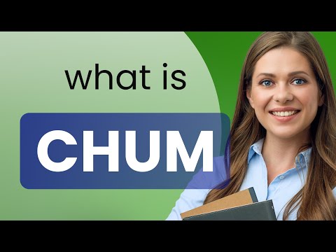 "Chum" Unveiled: More Than Just a Buddy