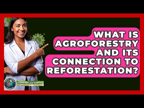 What Is Agroforestry And Its Connection To Reforestation? - Earth Science Answers