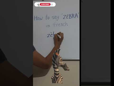 How to say 'ZEBRA' in French - Learn French | Onward Academy | #fyp #shorts #viralvideo #viral