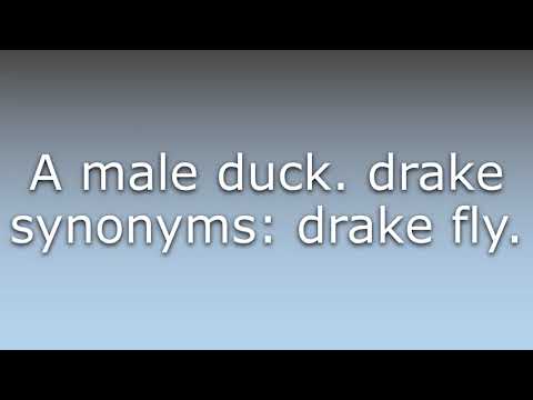 What does Drake mean?