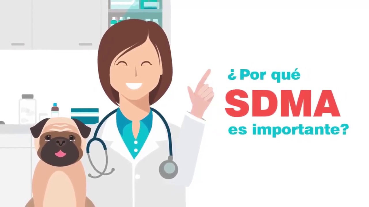¿Qué es Sdma y enumera sus funciones y responsabilidades? – VALETRY