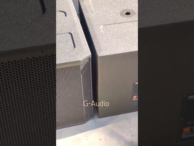 Single 18 inch bass subwoofer empty cabinets - Stx 818 Bass Speaker ...