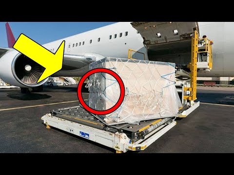 Contents Of An Unaddressed Crate That Arrived At Beirut Airport Leaves The Authorities Astonished